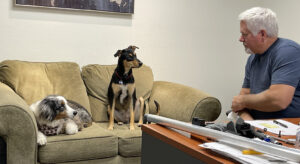 Will AMP Work for my Wheelchair? - Method Mobility